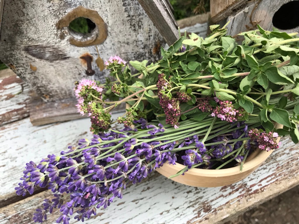 DIY Lavender Herbal Disinfectant – Fights Germs, Fresh Scent, and Safe ...