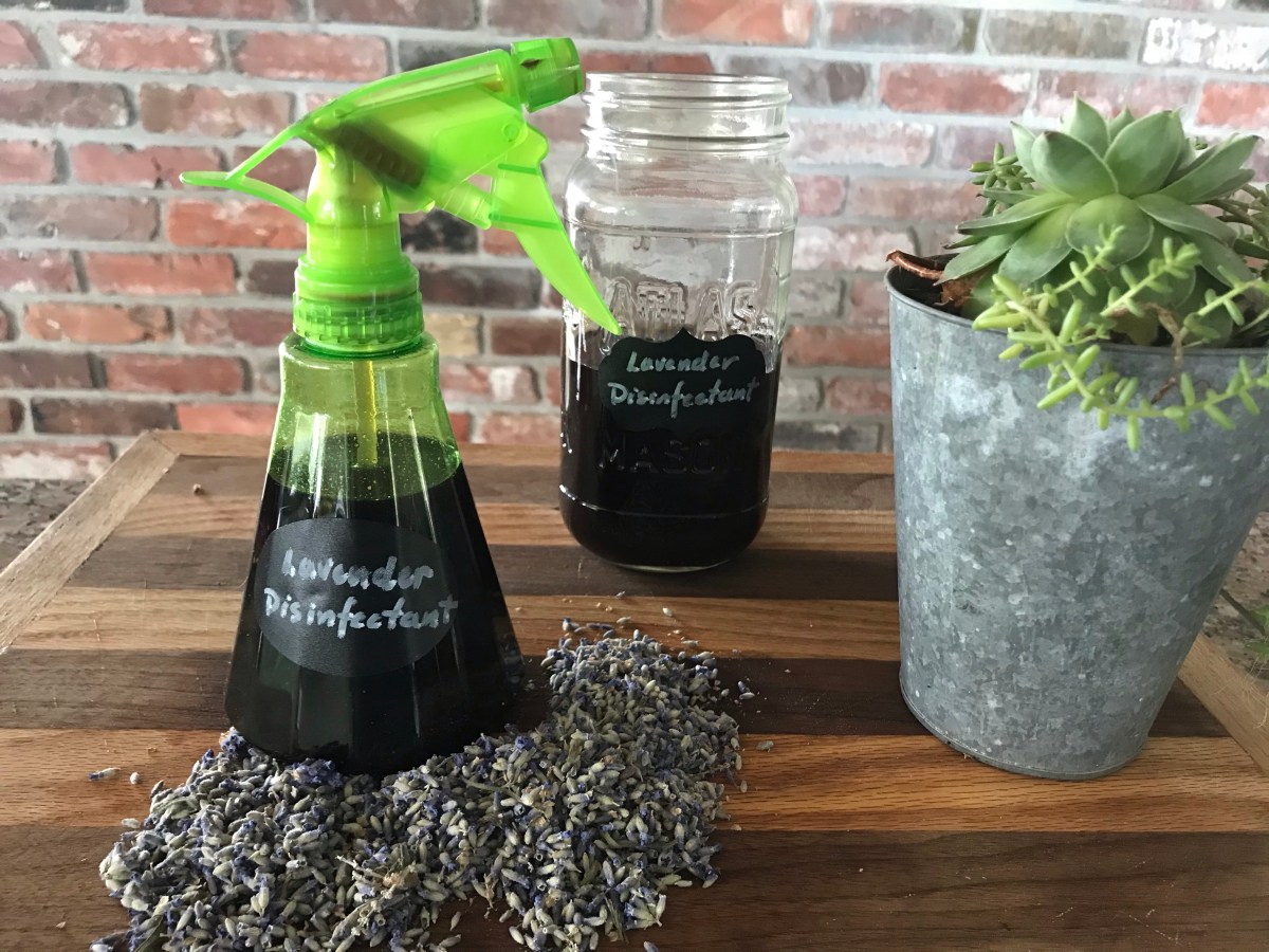 DIY Lavender Herbal Disinfectant – Fights Germs, Fresh Scent, and Safe ...